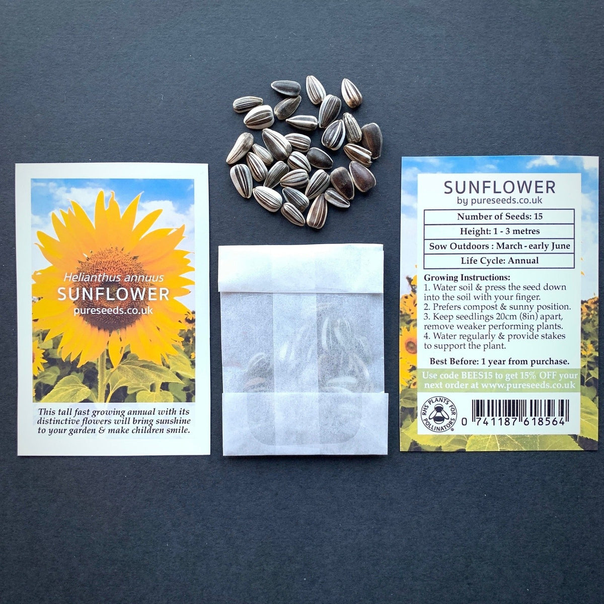 Sunflowers Giant Common Variety Helianthus annuus – Pure Seeds