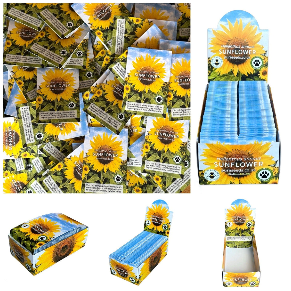 Sunflower Seeds (Bulk Wholesale) – Pure Seeds