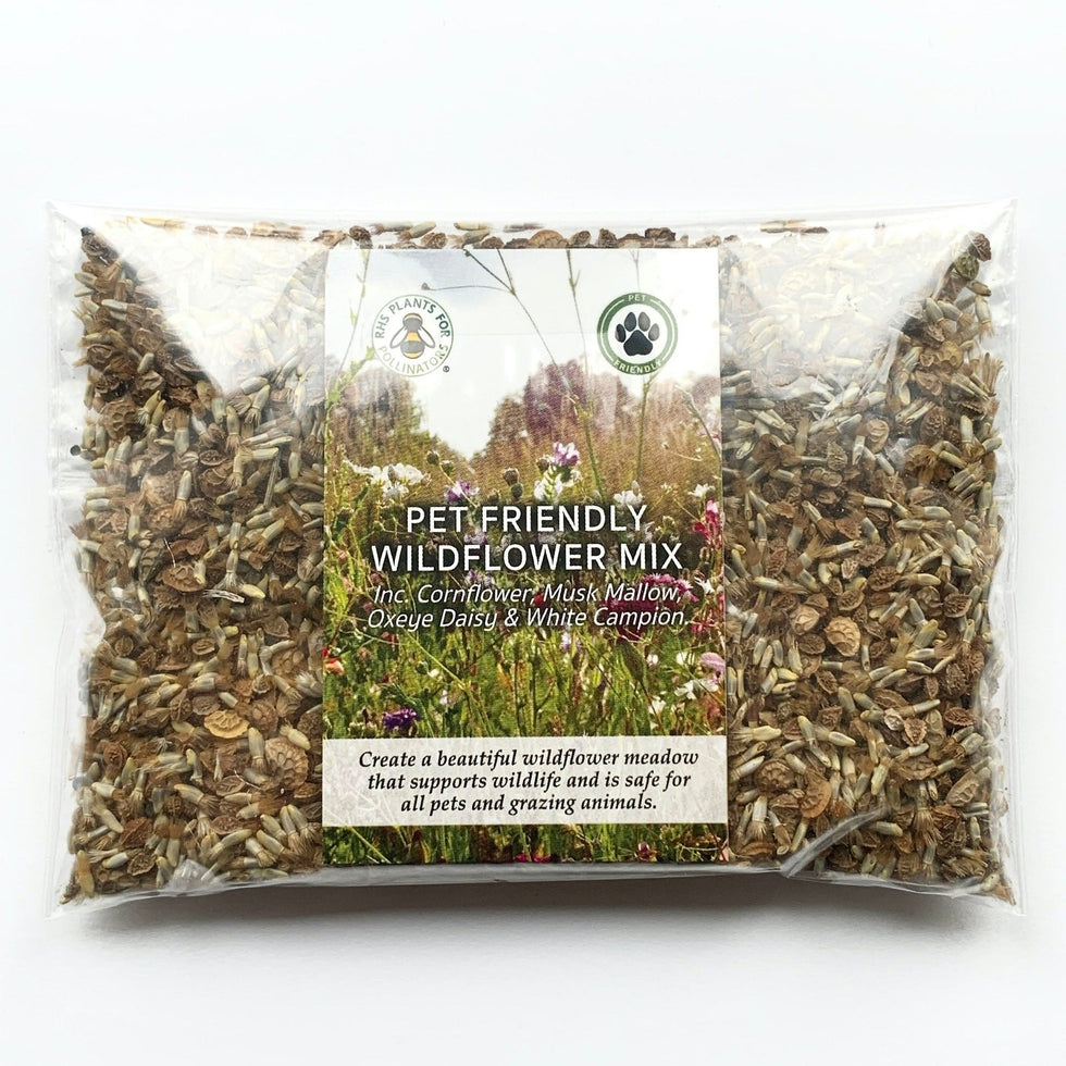 Wildflower Seed Mix : Pet Friendly & Grazing Safe – Pure Seeds